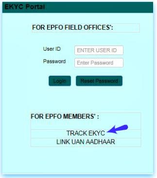 How to link your Aadhaar number to EPF UAN online? | Options